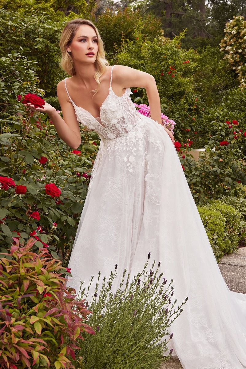 Ladivine - CD857W Lace Plunging Neckline A-line Bridal Gown – YDG
